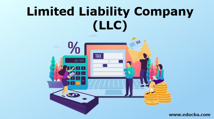 Limited Company