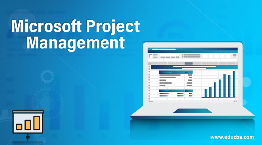 Microsoft Project Management | 5 Amazing Version of Software