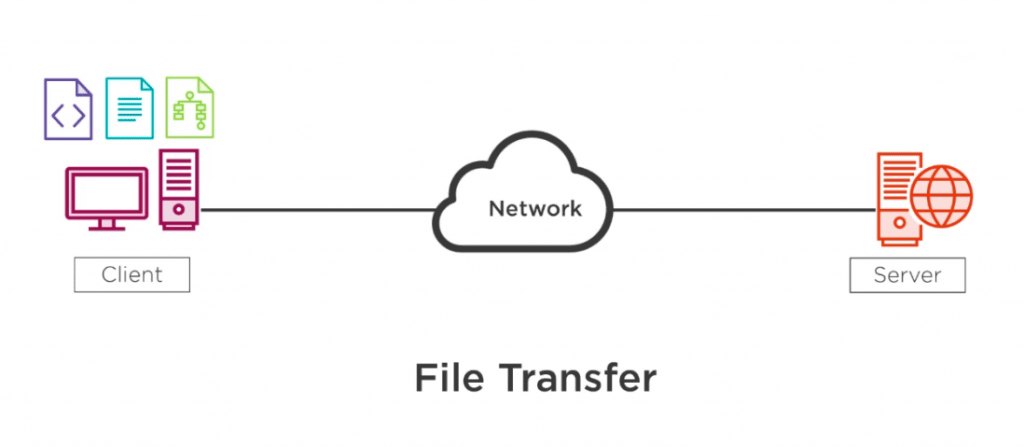 Types of Networking Protocols | Top Four Major Protocols of Networking