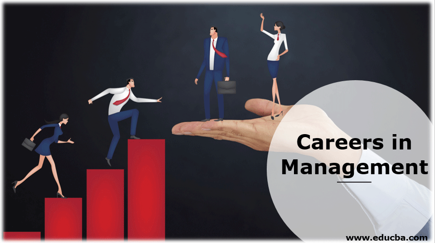 Careers In Management | Education & Career | Job Position and Salary