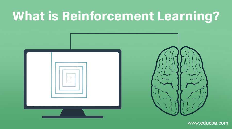 What is Reinforcement Learning? | Function and Various Factors