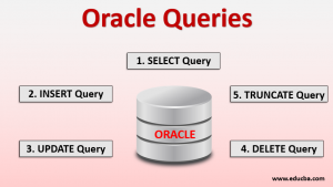 Oracle Queries | What is a Query and Types of Oracle Queries