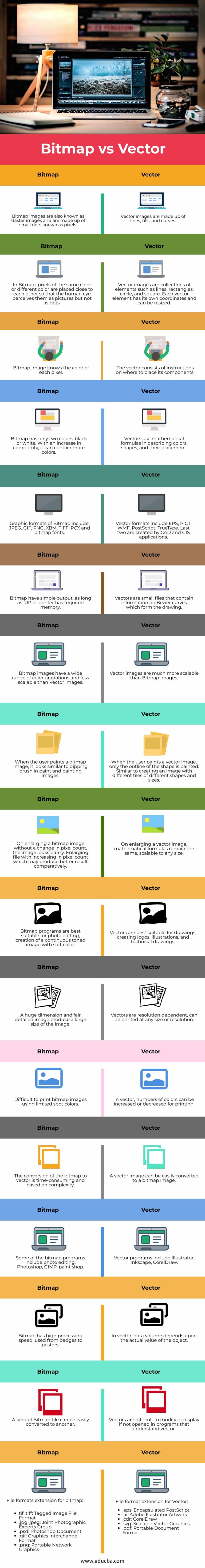 Bitmap vs Vector | 17 Amazing Comparisons of Raster vs Vector